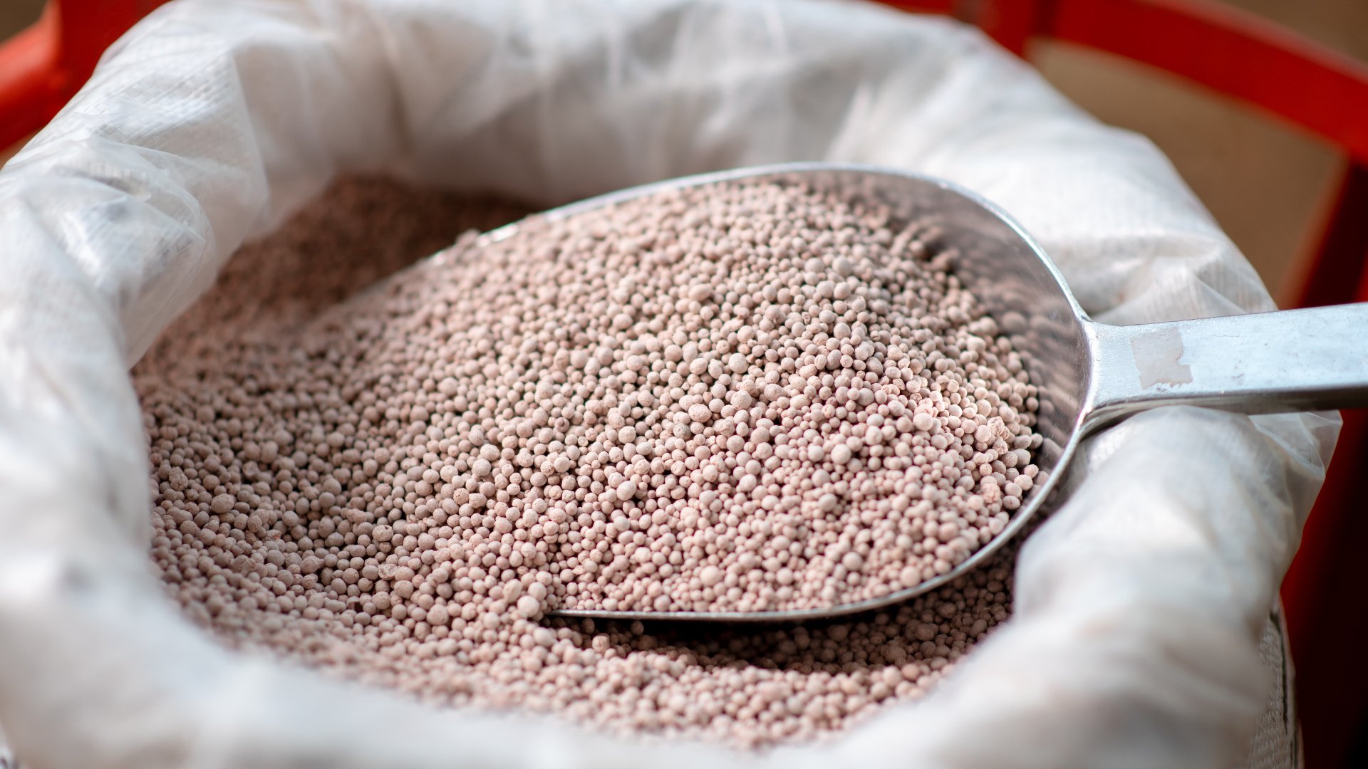 Nitrogen: The Key Ingredient in Fall Fertilizers | A+ Lawn & Landscape