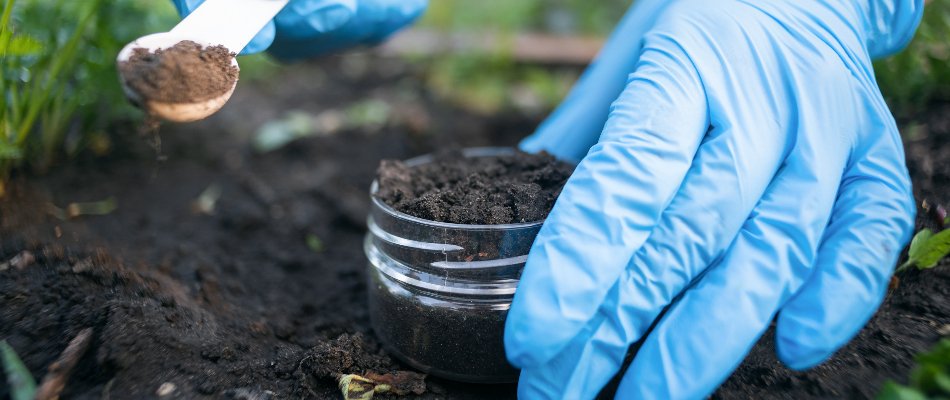 Healthy Soil Means Healthy Grass - How to Tell What Your Soil Is ...