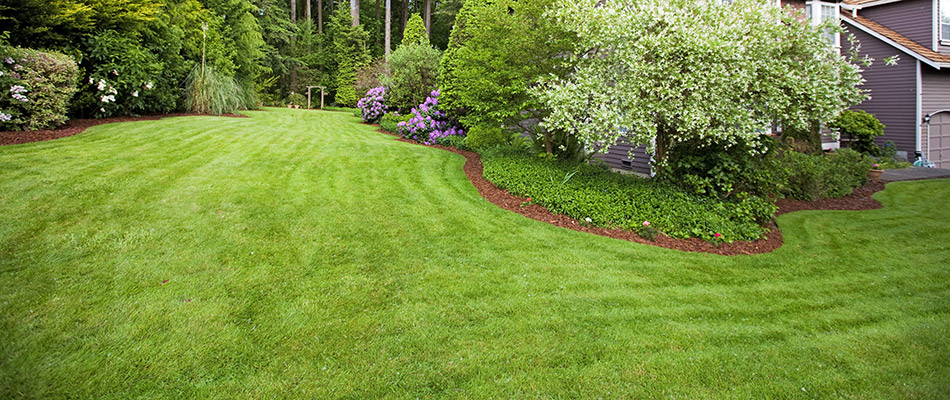 Are Lime Treatments Really Necessary for Grass Health? | A+ Lawn ...
